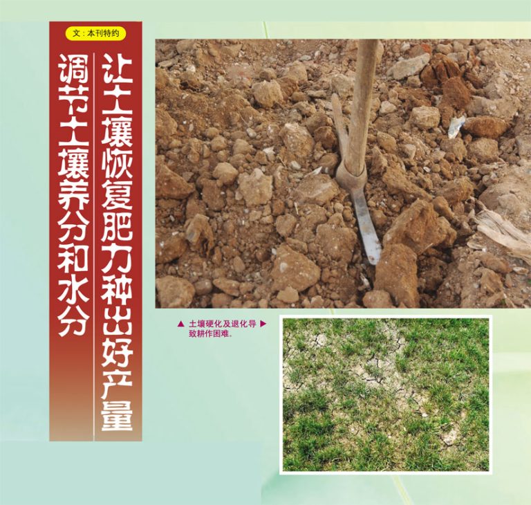 调节土壤养分和水分让土壤恢复肥力种出好产量 农业天地网 5421